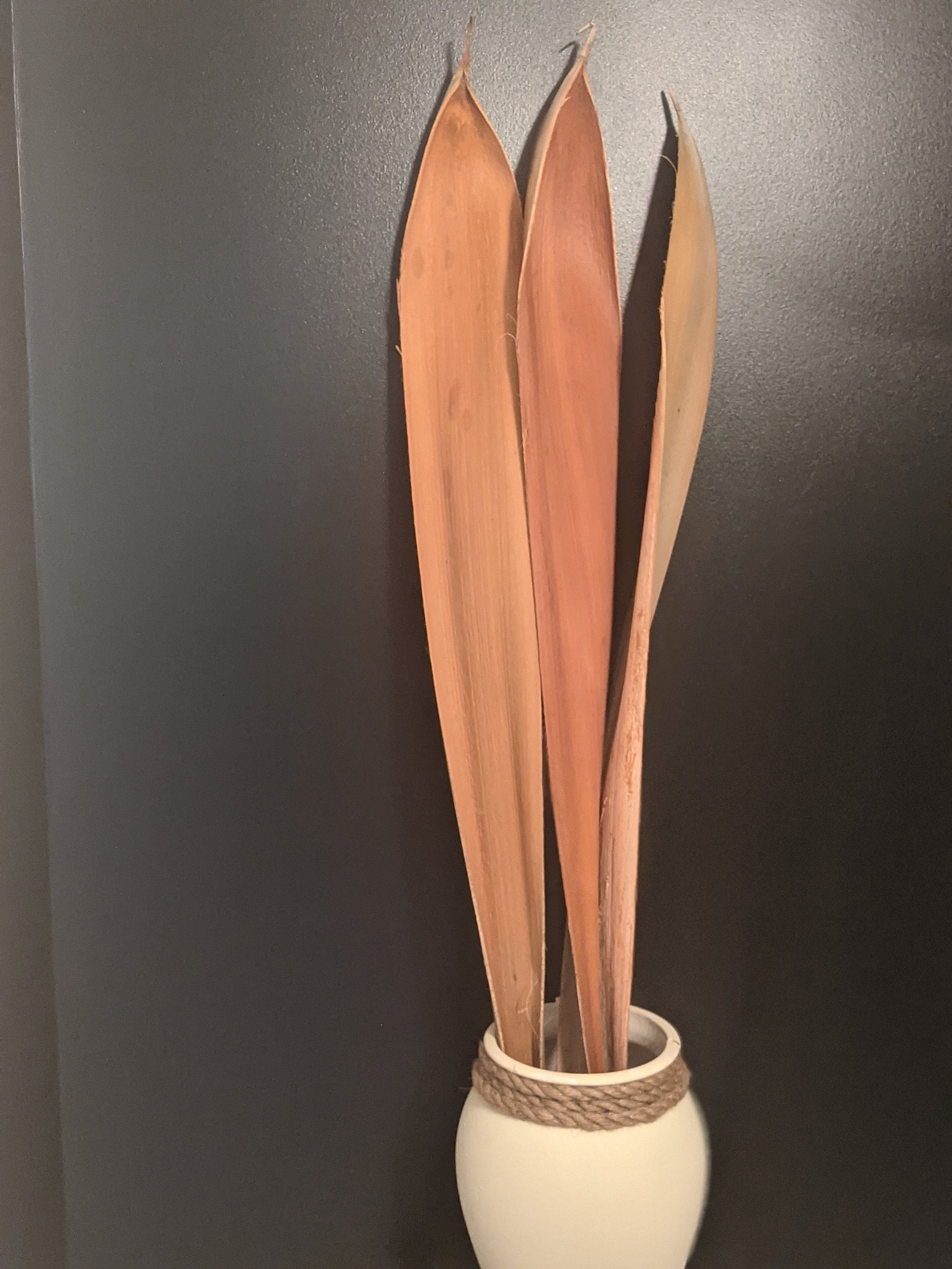 Palm Tree Seed Pod - Etsy