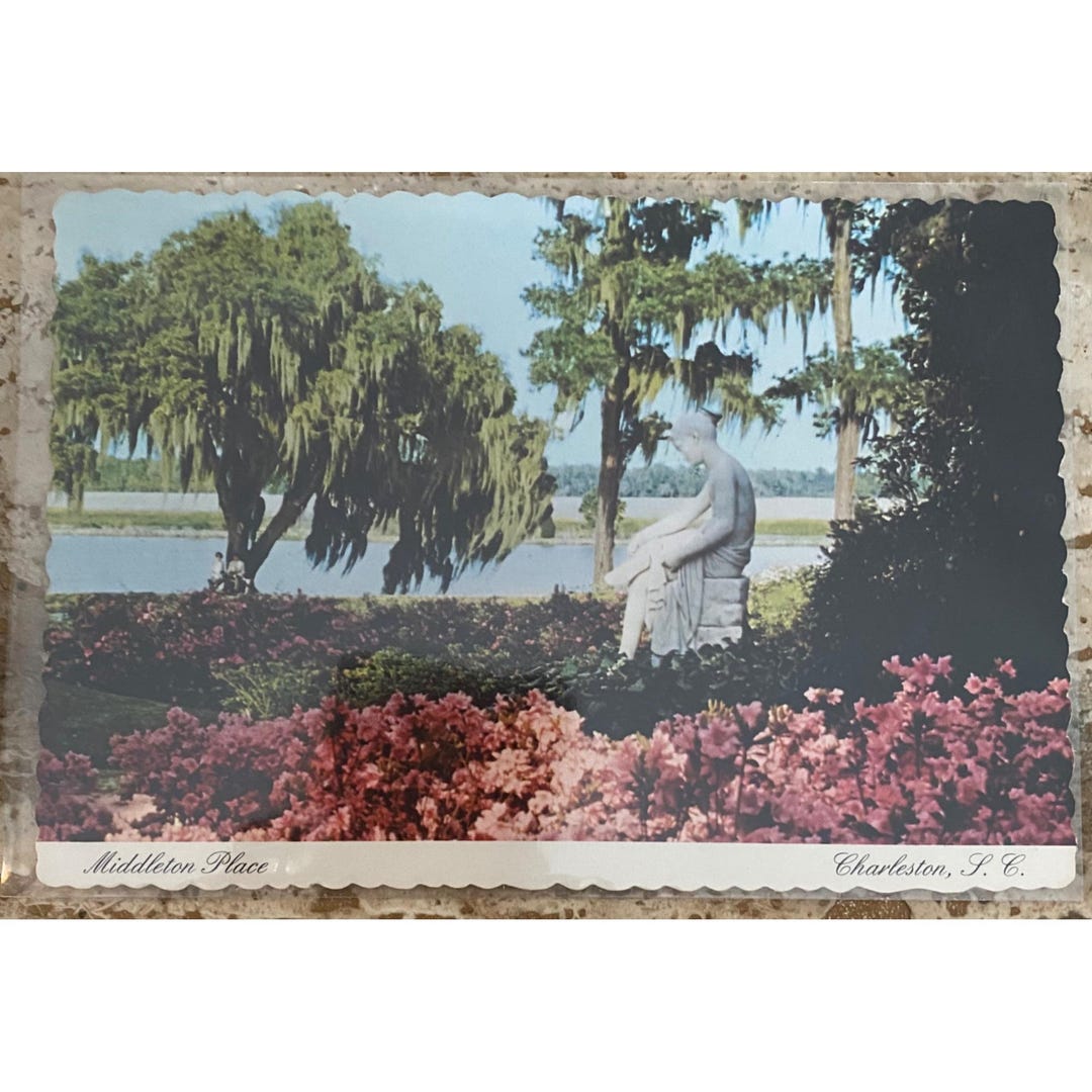 Vintage Middleton Place Gardens Postcard Charleston S.C. Featuring Wood ...