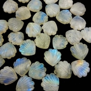 2345 Pieces Natural Rainbow Moonstone Shell Carved - Etsy