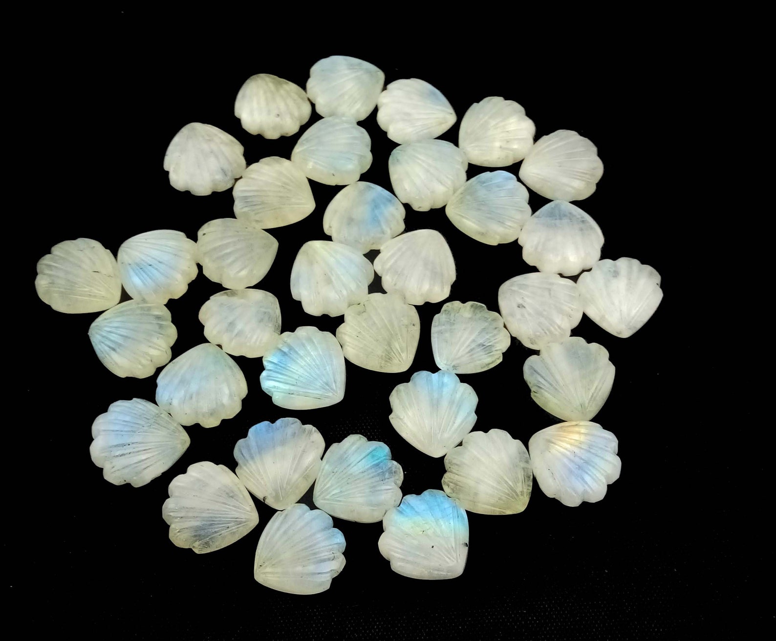 2345 Pieces Natural Rainbow Moonstone Shell Carved - Etsy