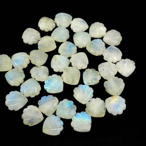 2345 Pieces Natural Rainbow Moonstone Shell Carved - Etsy