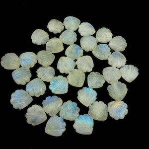 2345 Pieces Natural Rainbow Moonstone Shell Carved - Etsy