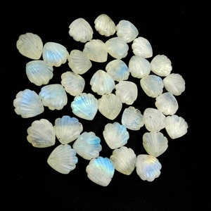 2345 Pieces Natural Rainbow Moonstone Shell Carved - Etsy