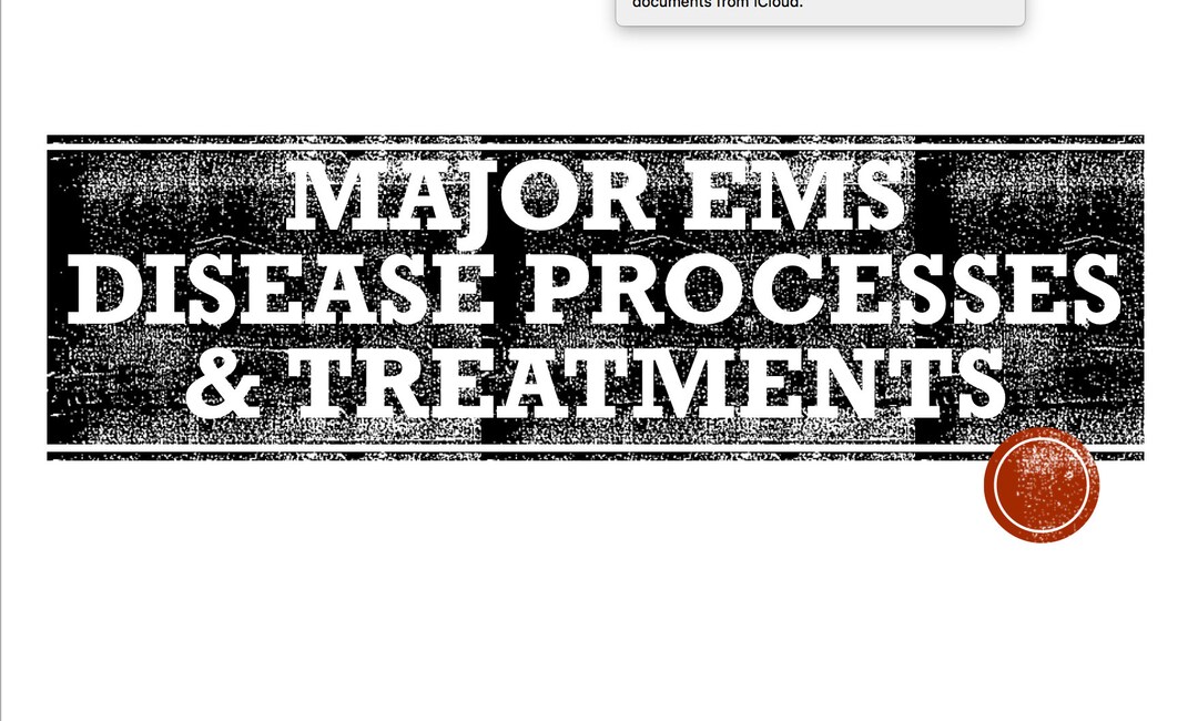 Paramedic Final Study Guide - Etsy