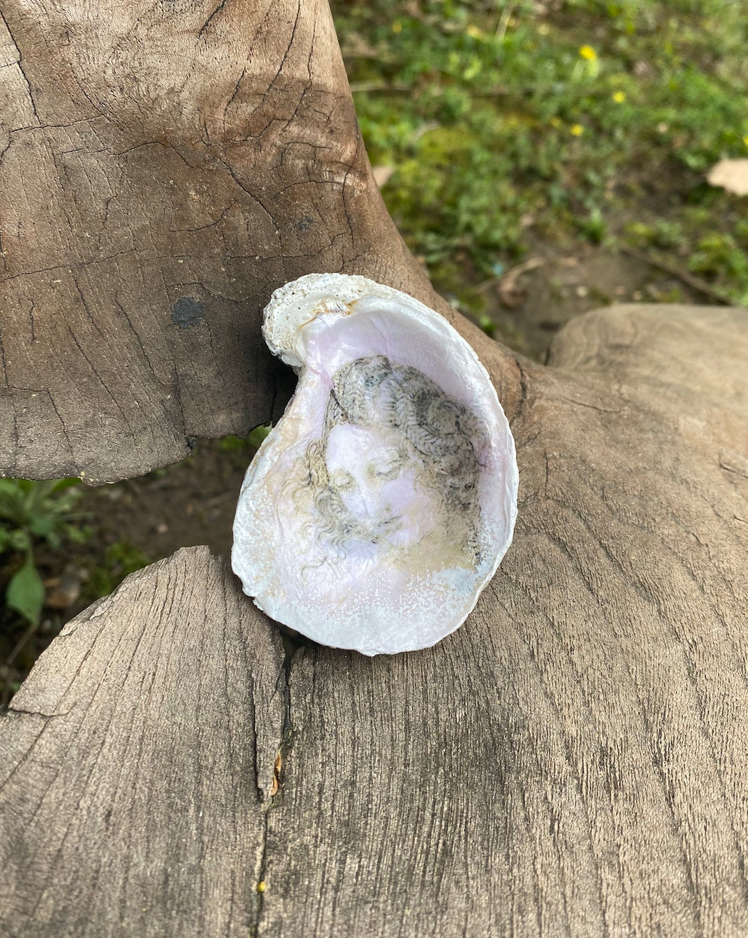 Leonardo Da Vinci Oyster Shell Trinket Dish: Decoupage Home Decor - Etsy