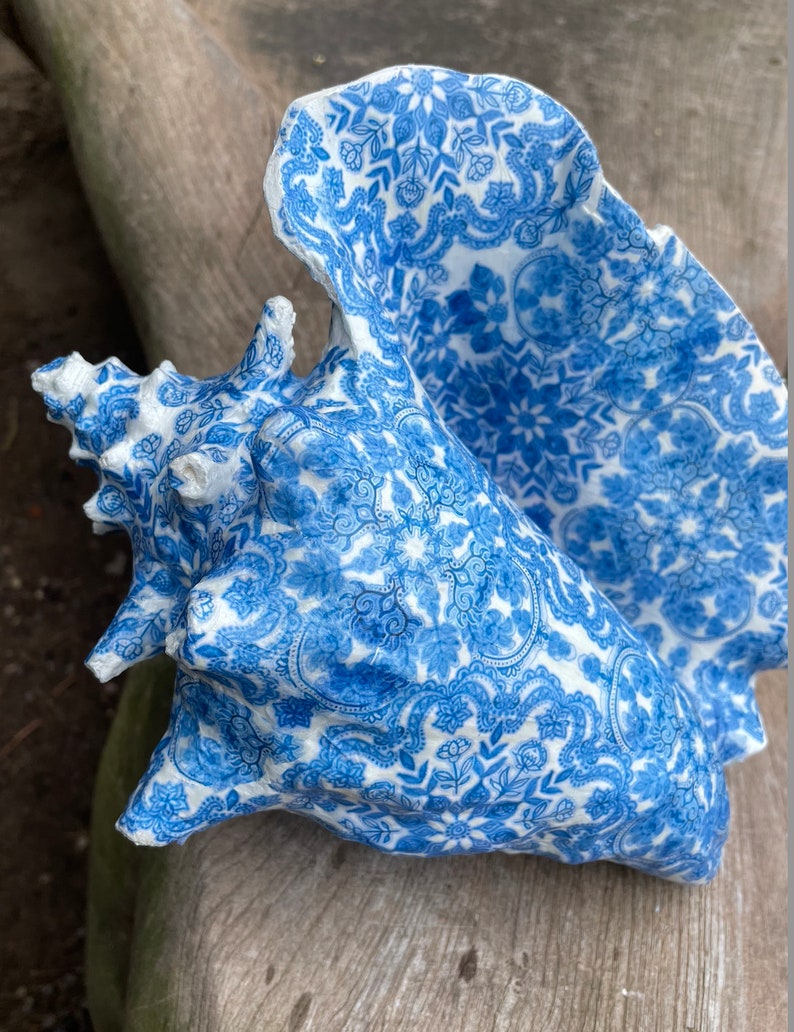 Conch Shell Decoupage Shell Chinoiserie Blue and White - Etsy