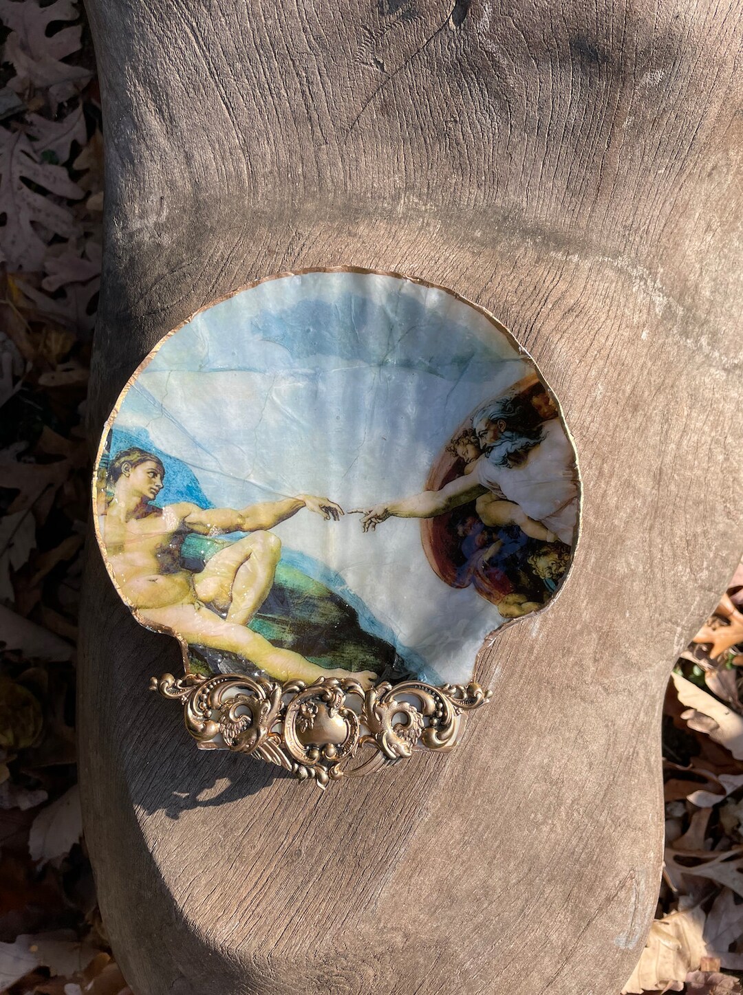 Giant Shell, Large Scallop Shell, Michael Angelo, the Creation of Adam ...