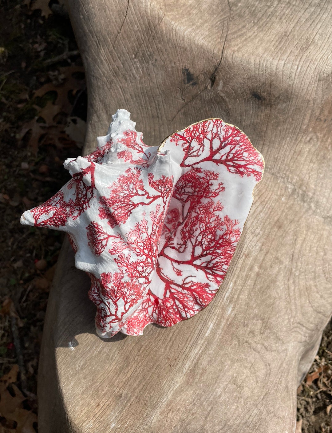 Conch Shell, Red Coral, Decoupage Shell, Home Decor, Housewarming Gift ...