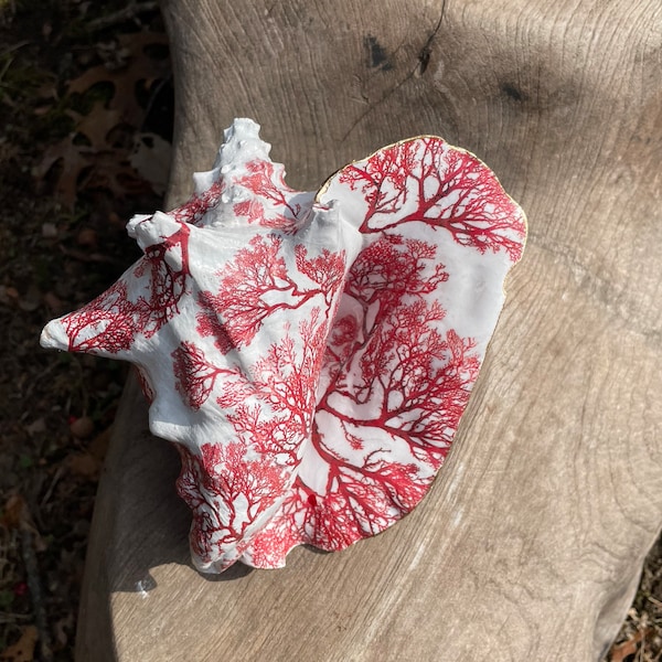 Conch Shell Art - Etsy