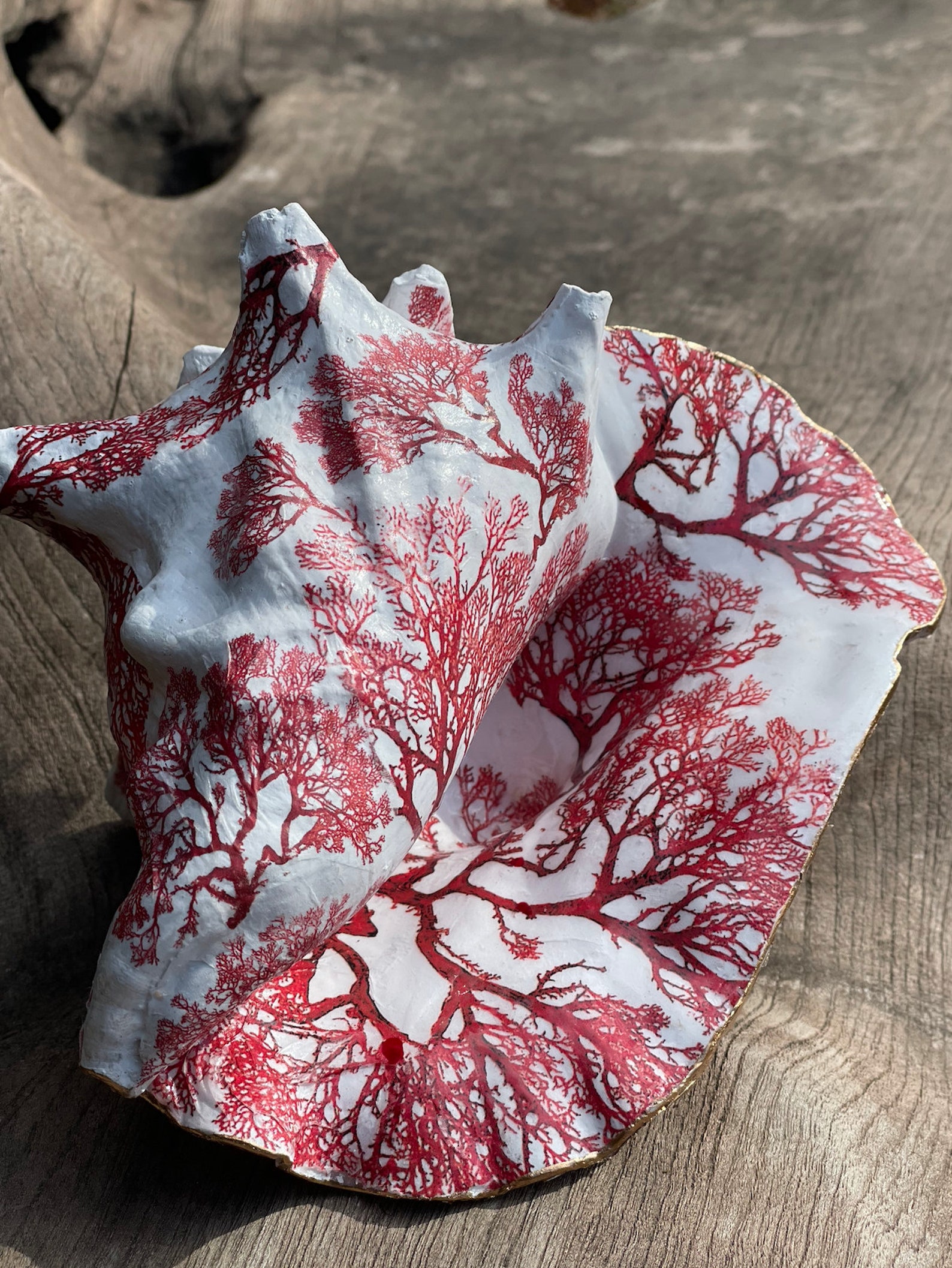 Conch Shell Red Coral Decoupage Shell Home Decor | Etsy