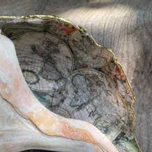 Conch Shell, Vintage Maps, Old Nautical Maps, Nautical, Coastal Home ...