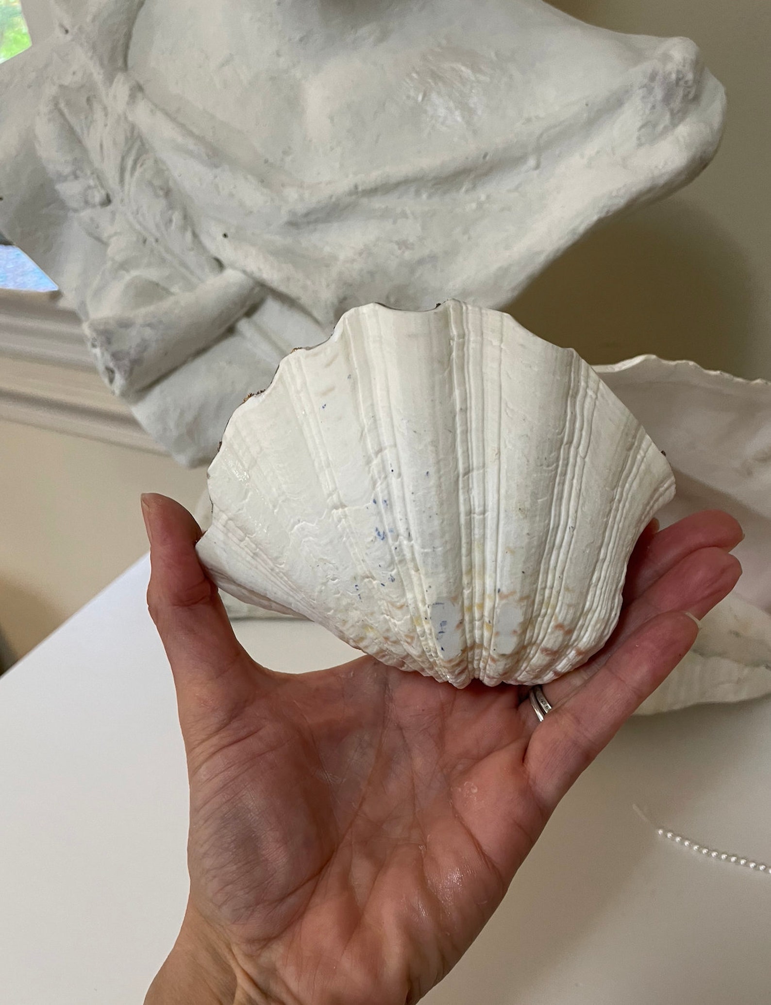 Venus, Birth of Venus, Botticelli, Decoupage Shell, Birthday Gift, Gift ...