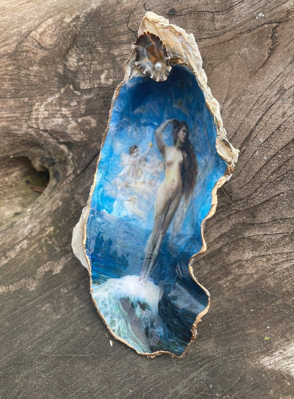 Handmade 'birth of Venus' Oyster Shell Ring Dish With Gold Edge - Etsy