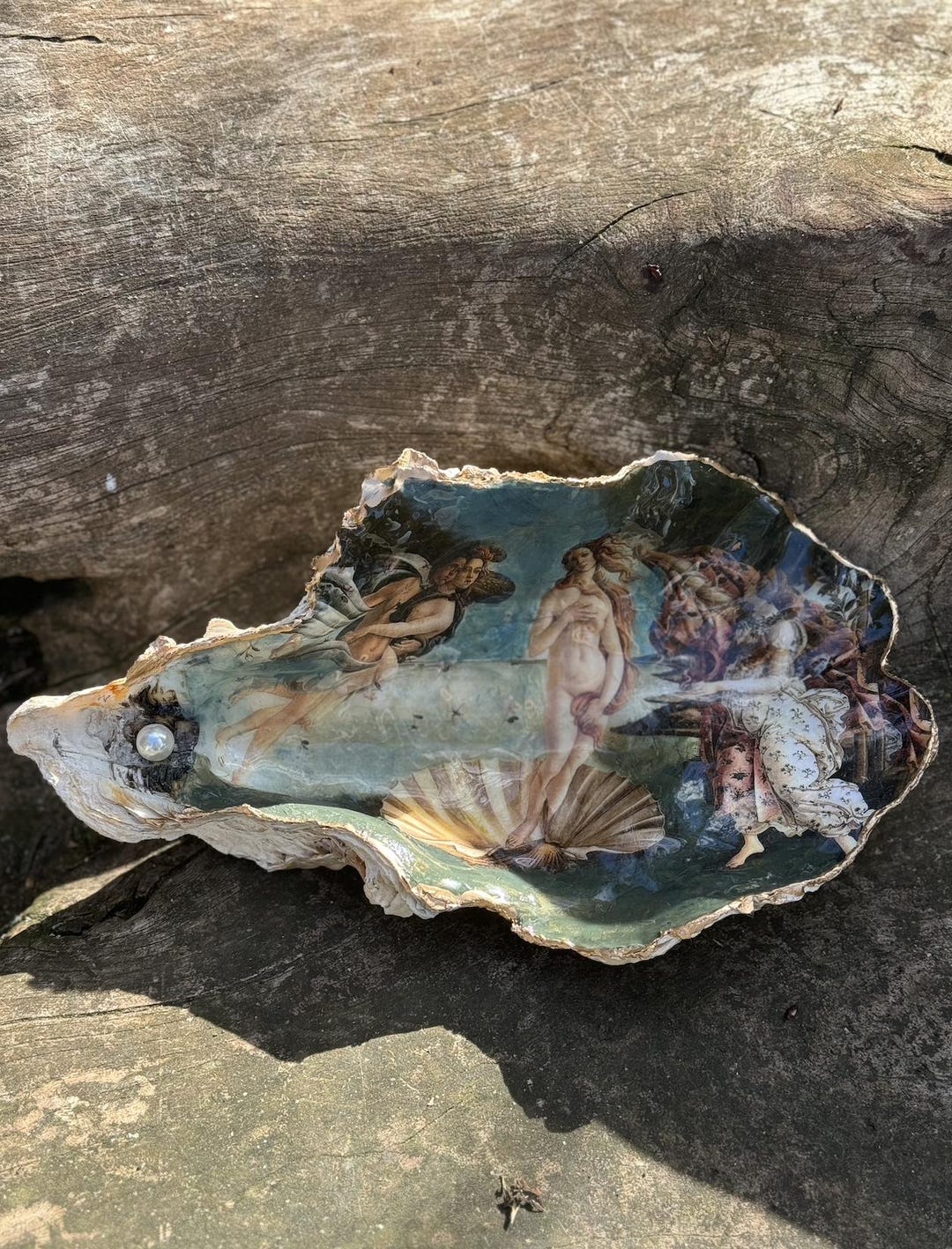 Birth of Venus Oyster Shell Trinket Dish: Gold Edged, Hand-painted - Etsy