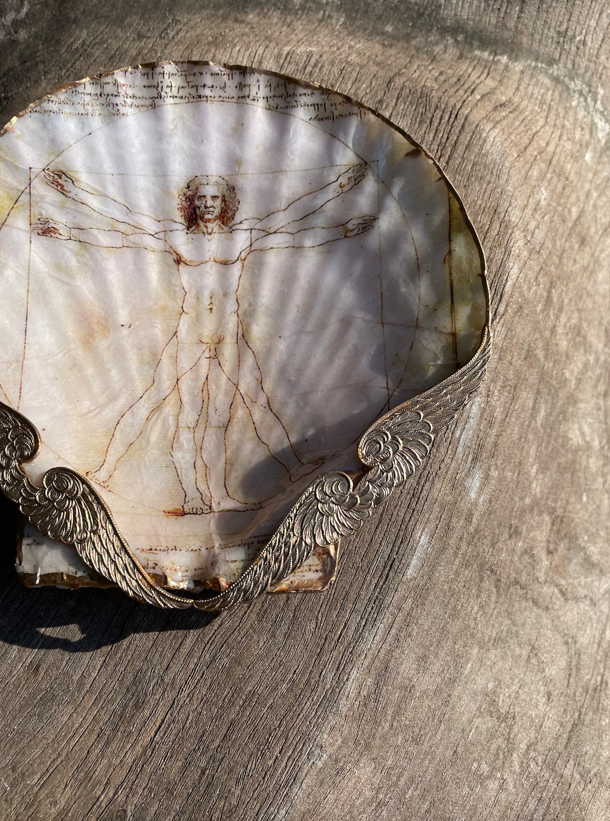 Leonardo Da Vinci Leonardo Da Vinci Shell Art Decoupage | Etsy