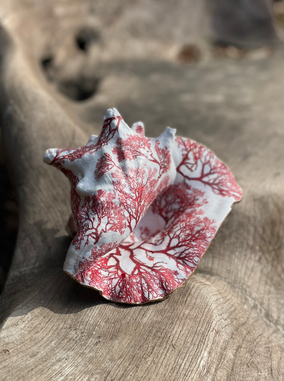 Conch Shell Red Coral Decoupage Shell Home Decor | Etsy