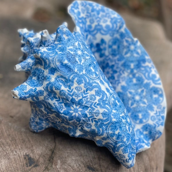 Blue Conch Shell - Etsy