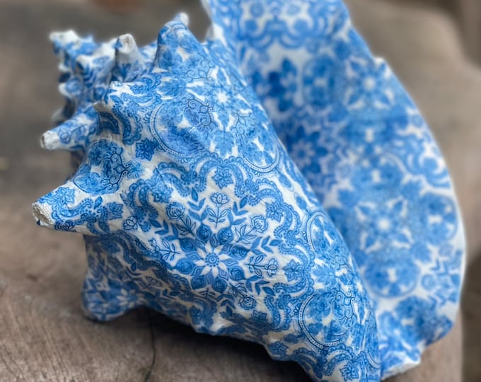 Conch Shell, Decoupage Shell, Chinoiserie, Blue and White, Azulejos ...
