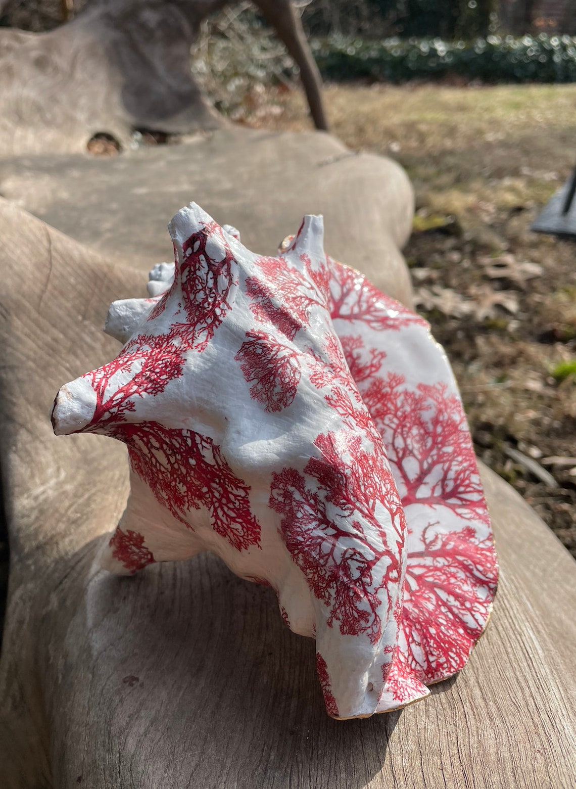 Conch Shell Red Coral Decoupage Shell Home Decor | Etsy