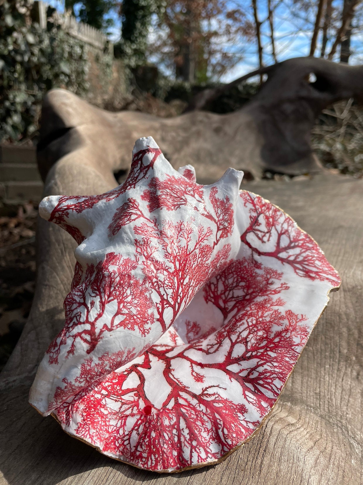 Conch Shell Red Coral Decoupage Shell Home Decor | Etsy