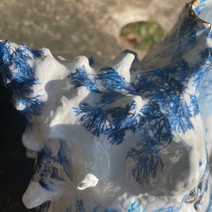 Conch Shell, Coastal House, Blue and White, Fish, Decoupage Shell, Home ...