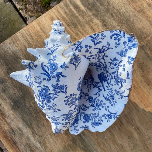 Chinoiserie White and Blue Large Conch Shell Decoupage - Etsy