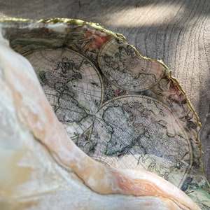 Conch Shell, Vintage Maps, Old Nautical Maps, Nautical, Coastal Home ...