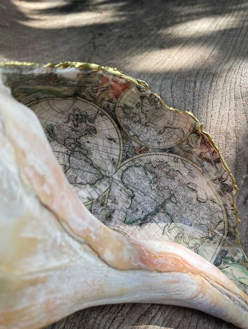 Conch Shell Vintage Maps Old Nautical Maps Nautical - Etsy