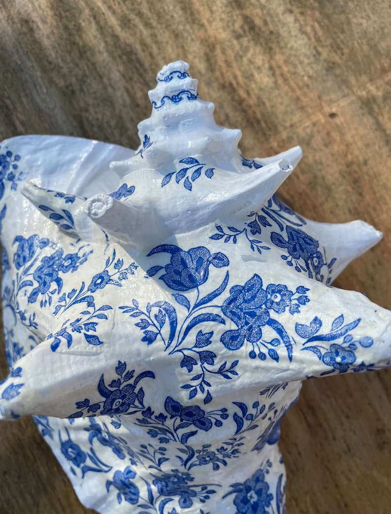 Chinoiserie White and Blue Large Conch Shell Decoupage - Etsy