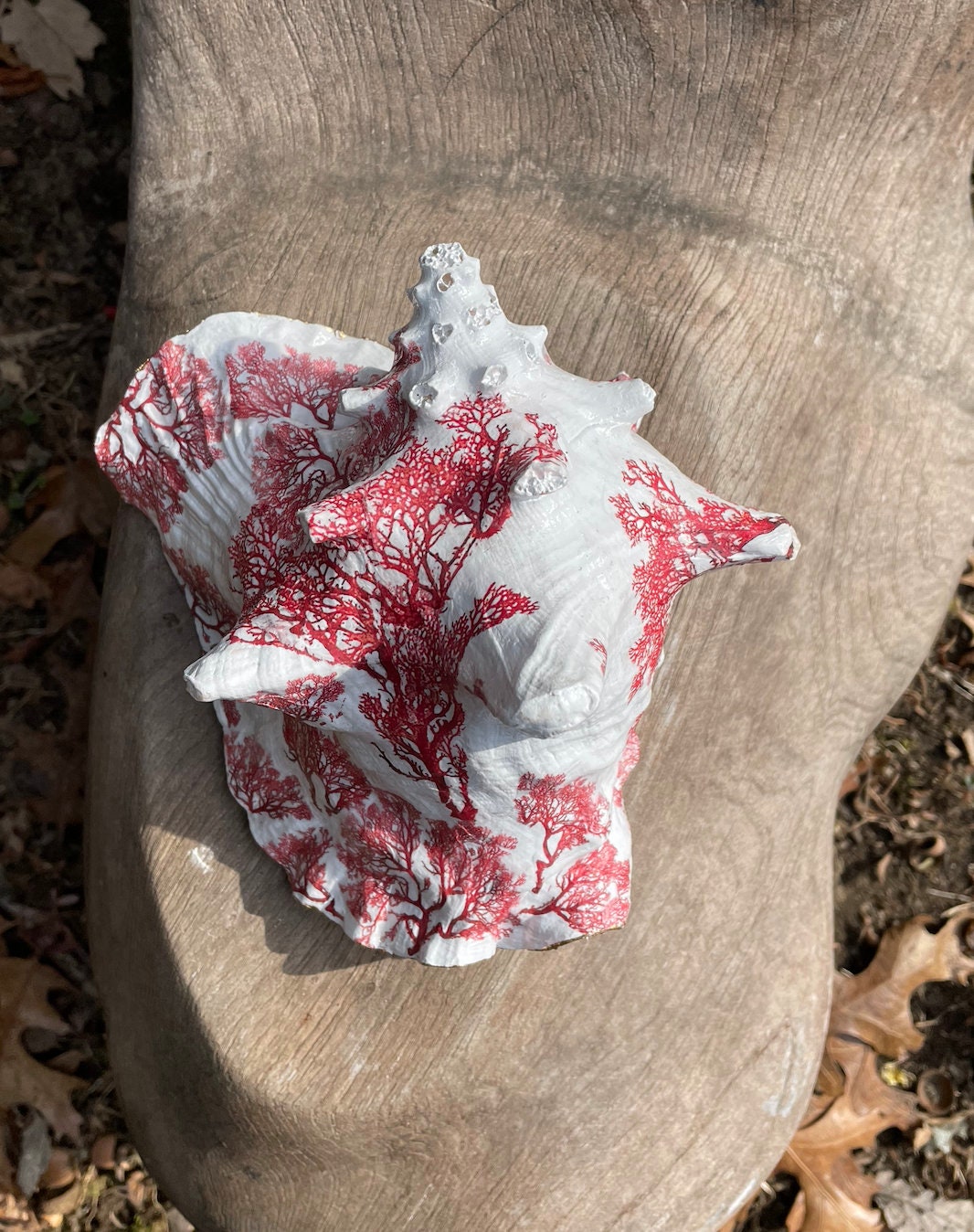 Conch Shell Red Coral Decoupage Shell Home Decor | Etsy