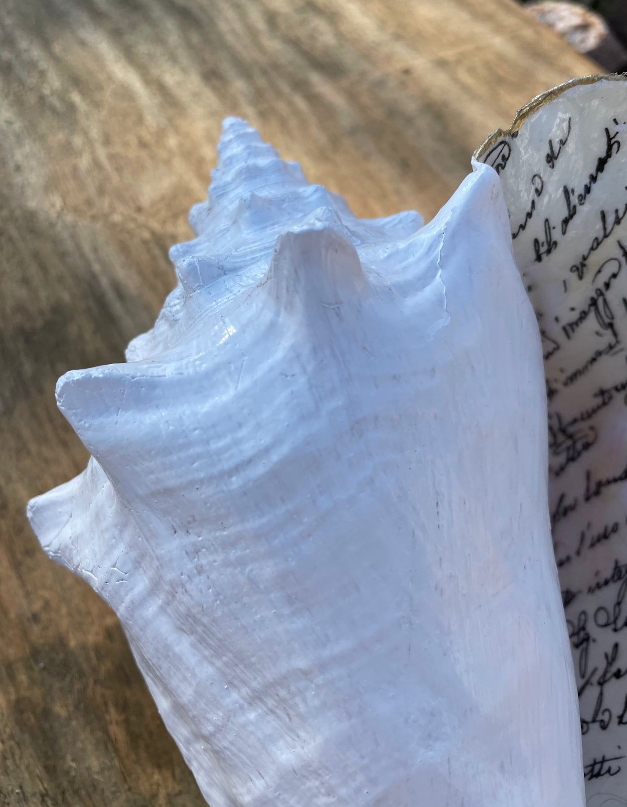 Seashell Large Shell Letter Vintage Letter Decoupage - Etsy