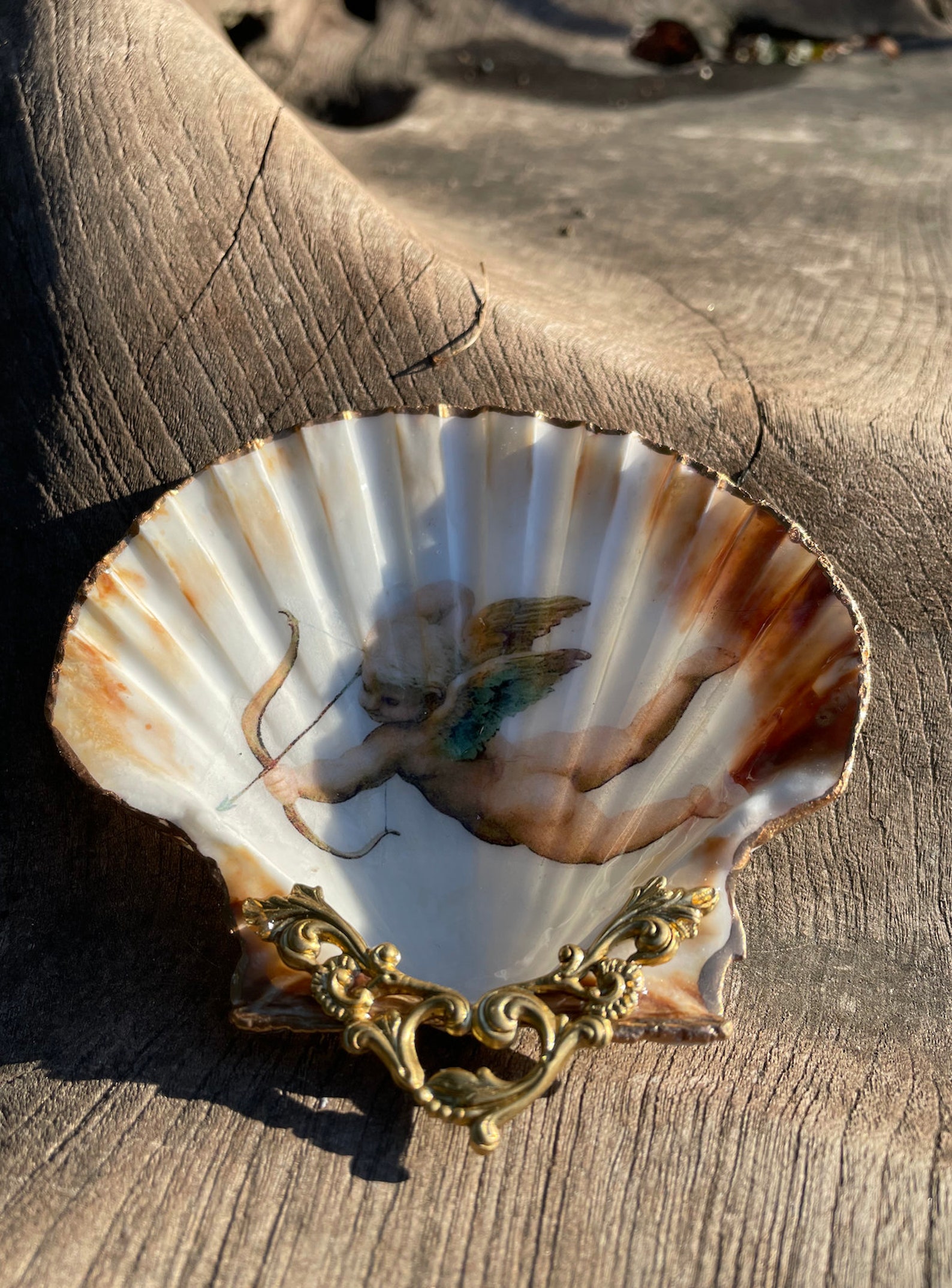 Scallop Shell, Cherub Angel, Cherub, Angel, Decoupage Shell, Trinket ...