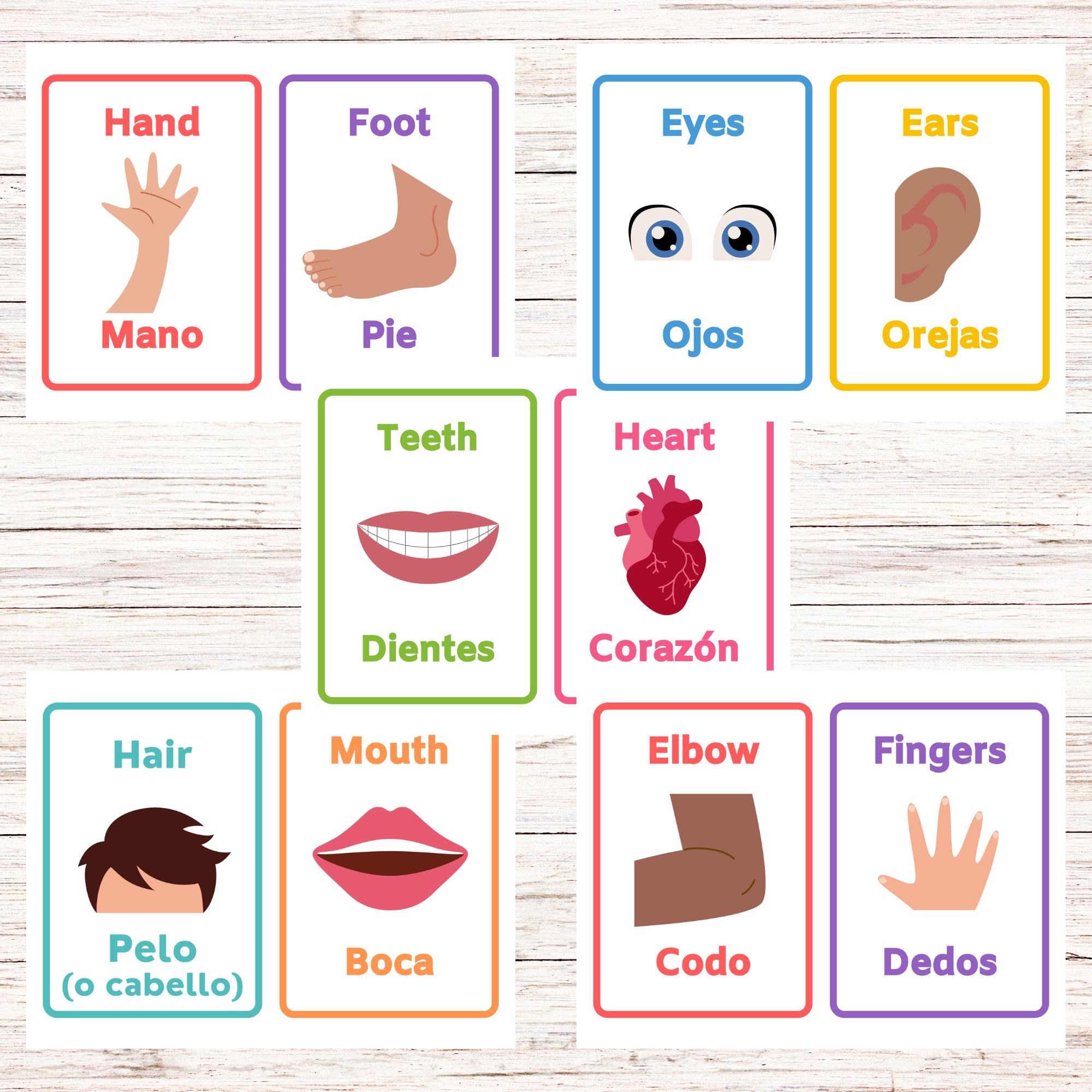 Bilingual Body Parts Flashcards-spanish and English Printable (large ...