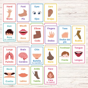 Bilingual Body Parts Flashcards-spanish and English Printable - Etsy