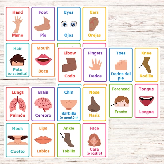 French Vocabulary Lang-O-Learn Body Parts Cards For Autism And ESL ...