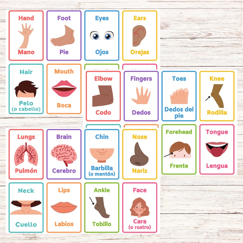 Bilingual Body Parts Flashcards-spanish and English Printable - Etsy