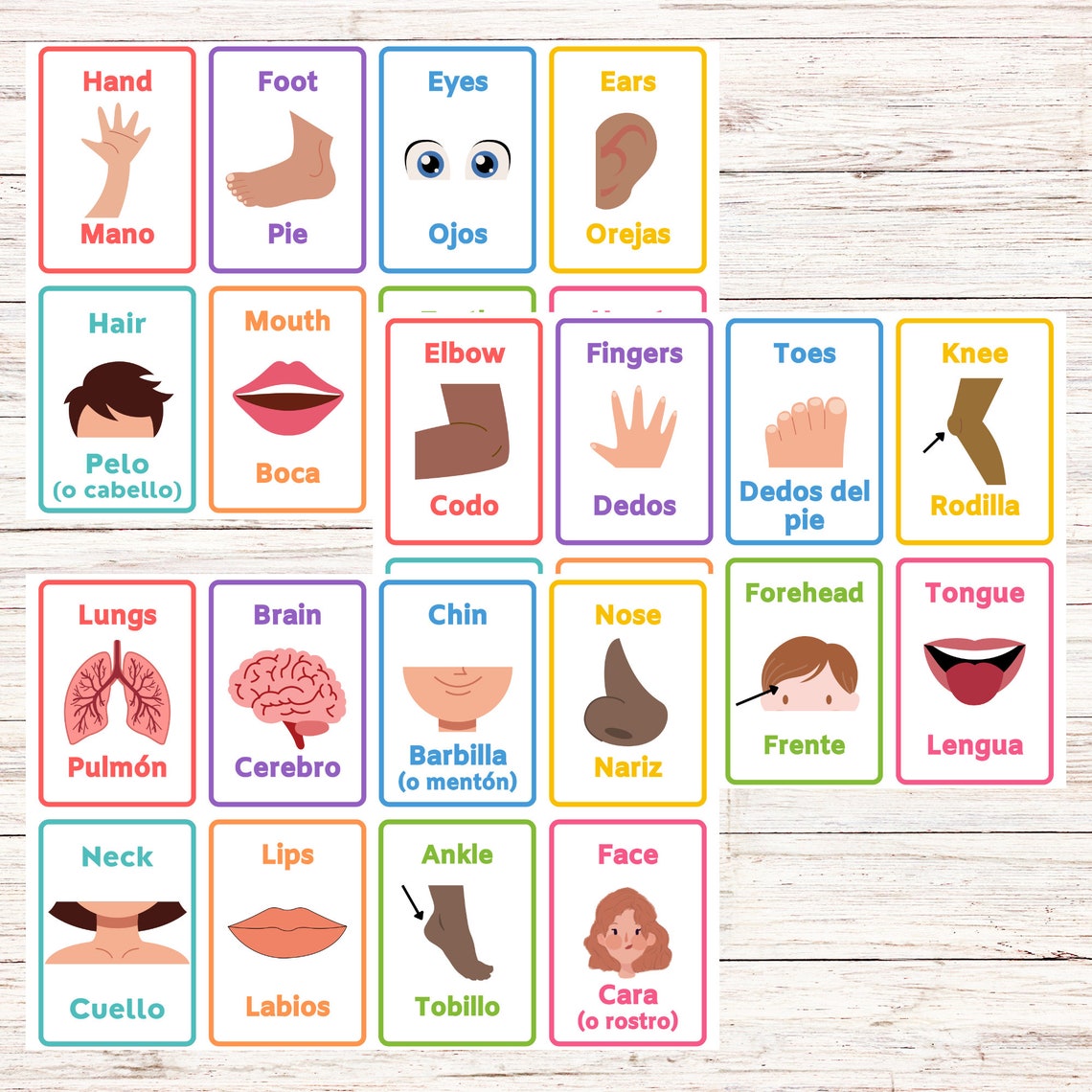 Bilingual Body Parts Flashcards-spanish and English Printable - Etsy