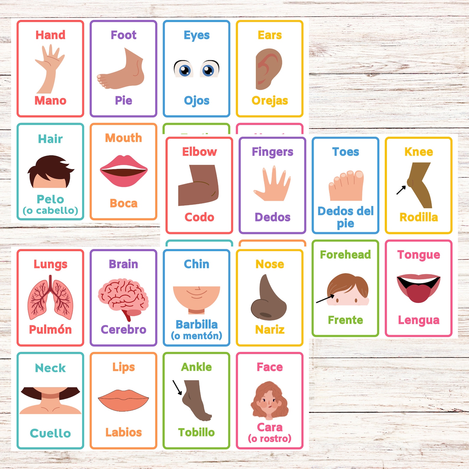 Bilingual Body Parts Flashcards-spanish and English Printable - Etsy