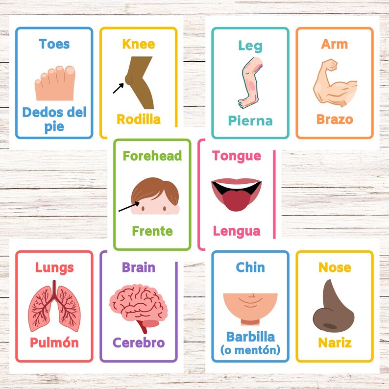 Bilingual Body Parts Flashcards-spanish and English Printable (large ...