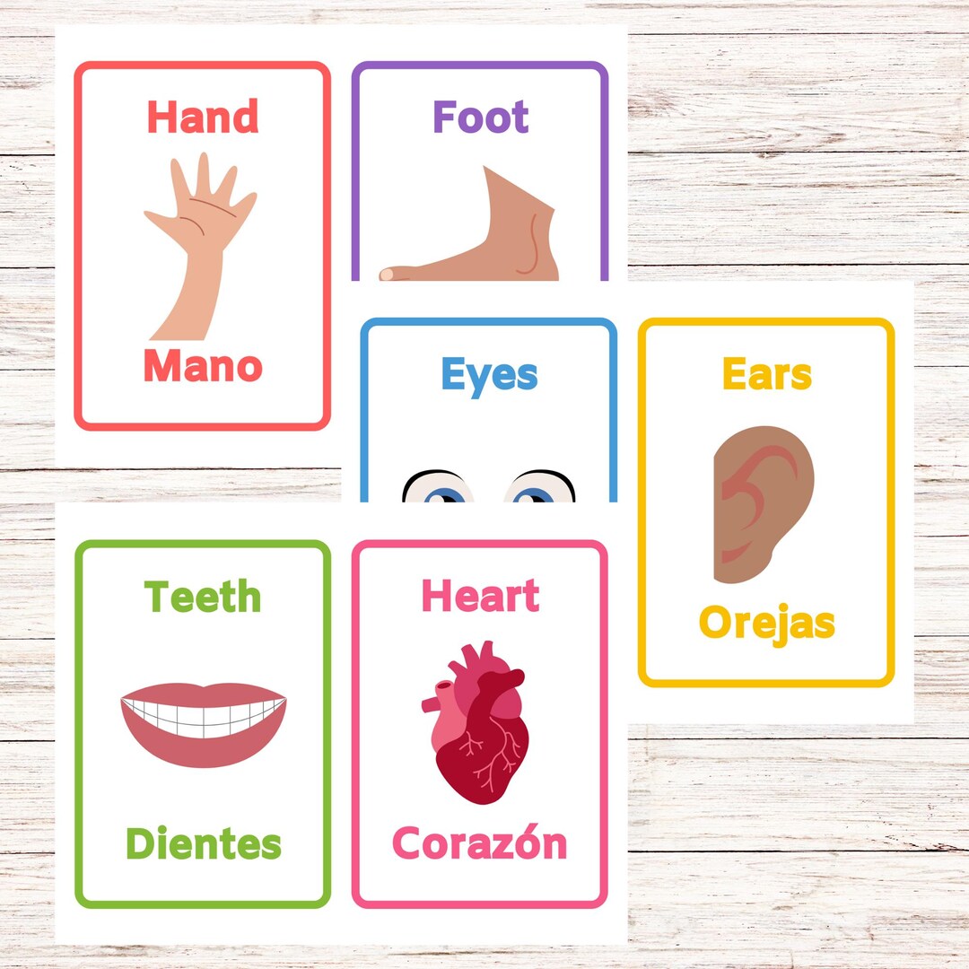 Bilingual Body Parts Flashcards-spanish and English Printable (large ...