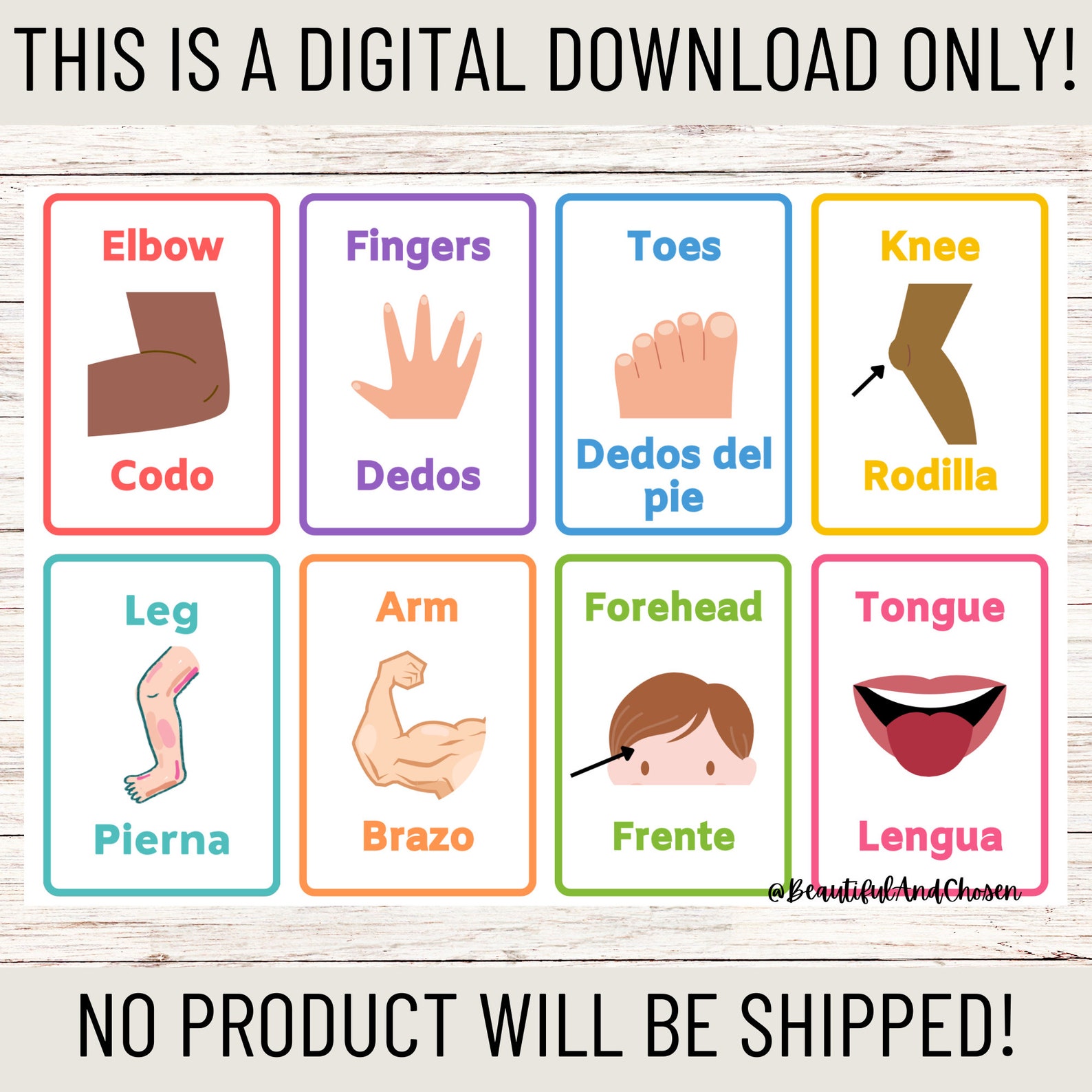 Bilingual Body Parts Flashcards-spanish and English Printable - Etsy