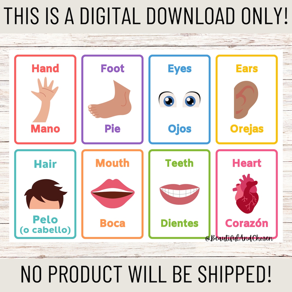 Bilingual Body Parts Flashcards-spanish and English Printable - Etsy