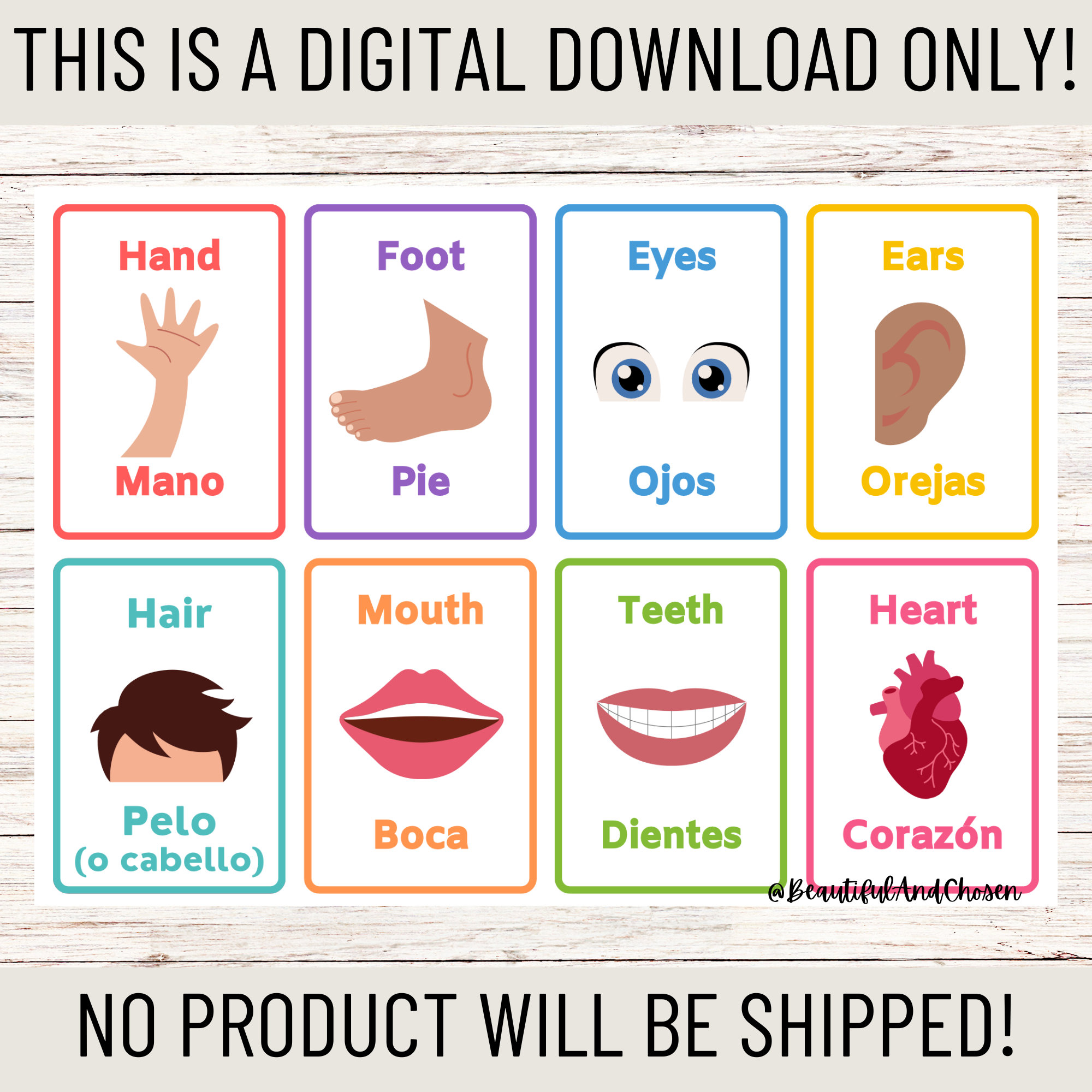 Bilingual Body Parts Flashcards-spanish and English Printable - Etsy