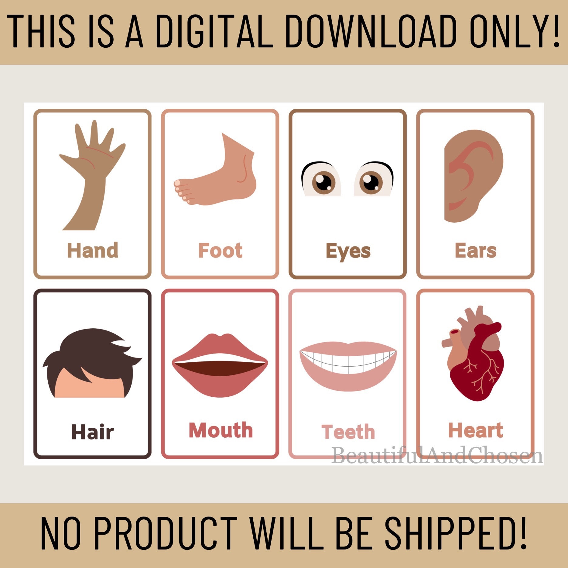 Aesthetic Body Parts Flashcards Printable-study Tools, Kid’s Review ...