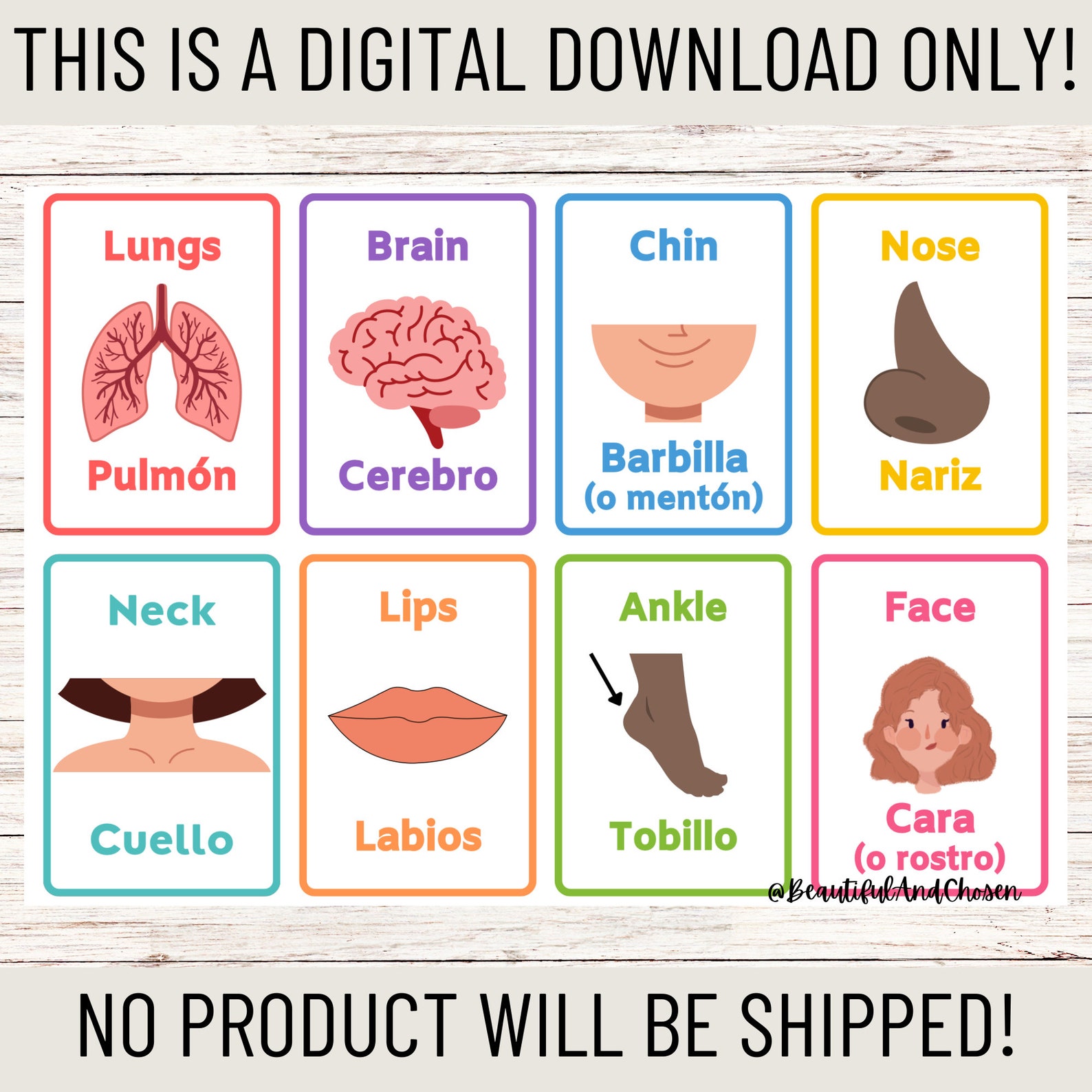 Bilingual Body Parts Flashcards-spanish and English Printable - Etsy
