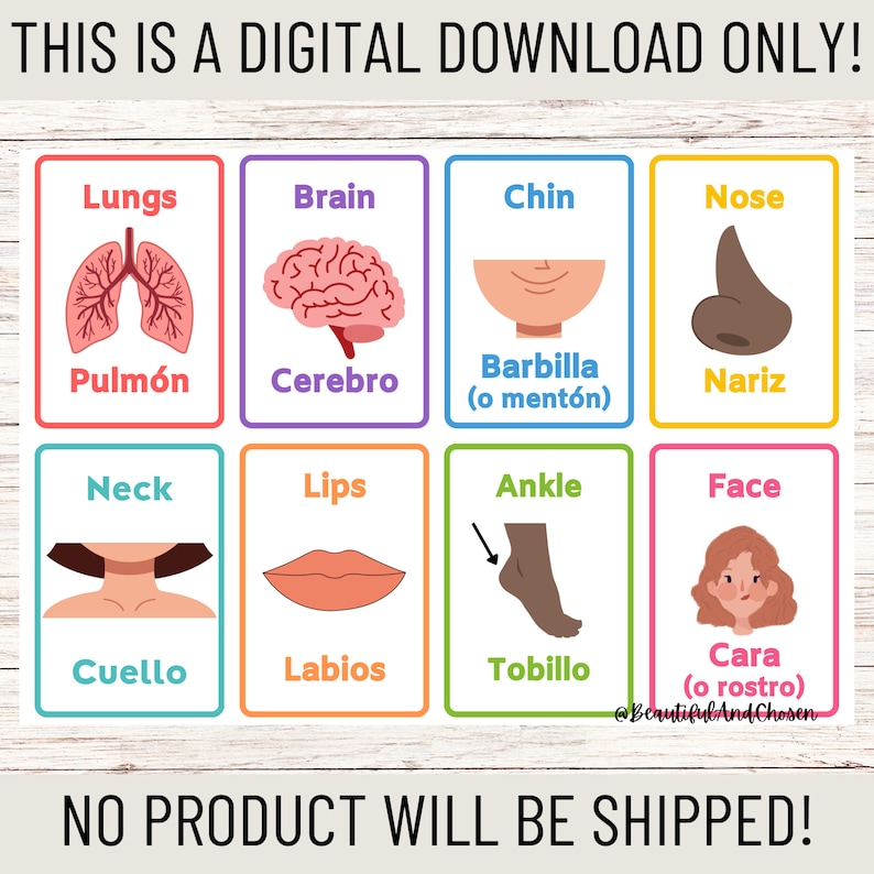 Bilingual Body Parts Flashcards-spanish and English Printable - Etsy