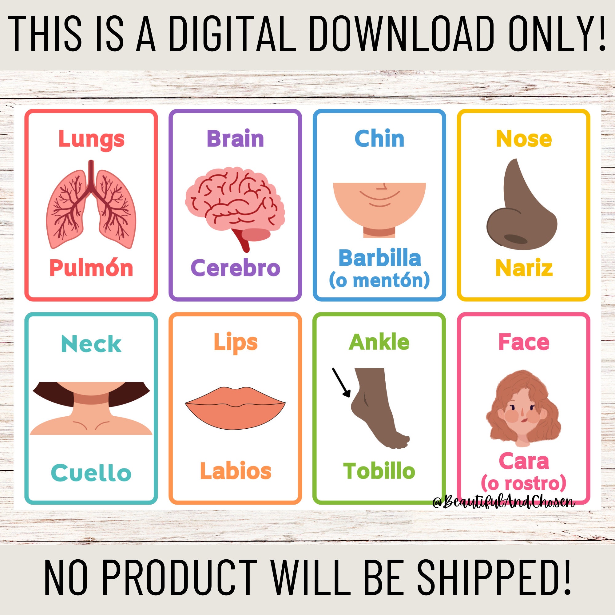Bilingual Body Parts Flashcards-spanish and English Printable - Etsy