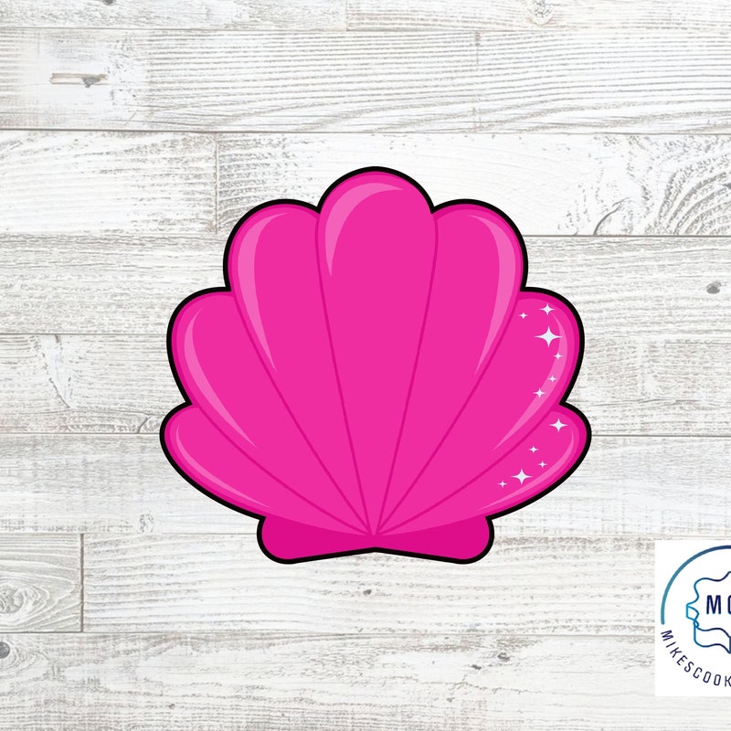 Sea Shells for Turkey - Etsy