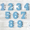 Any Birthday Balloon Number Numbers 1-9 Cookie Cutter 2, 3, 4, 5, 6, 7 ...