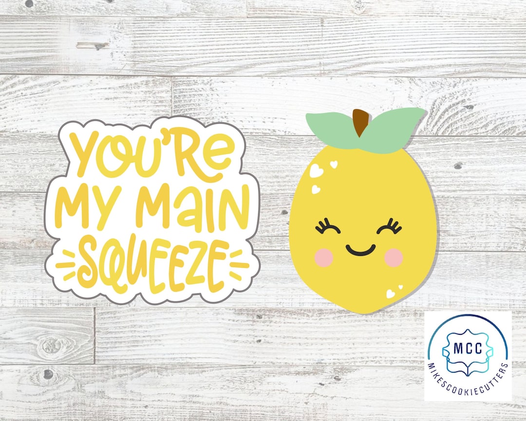 You’re My Main Squeeze Plaque or Lemon Punny Valentine's Day Cookie ...